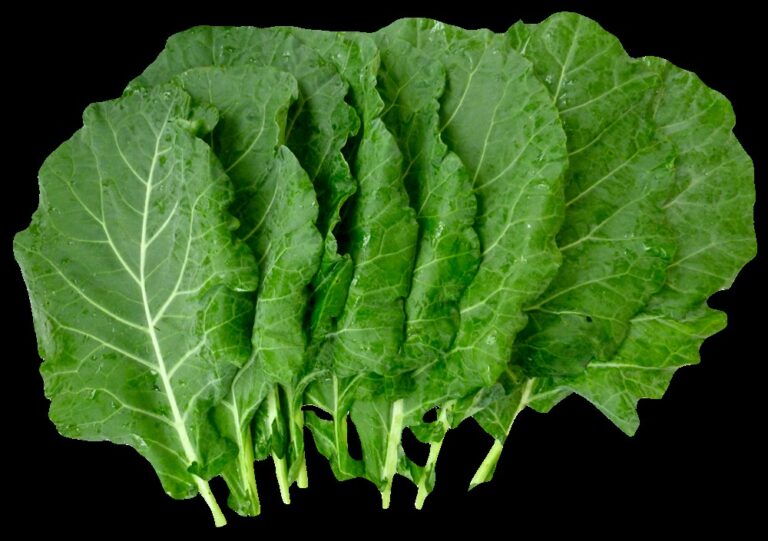 Vegetable of the Week – York Fresh Food Farms
